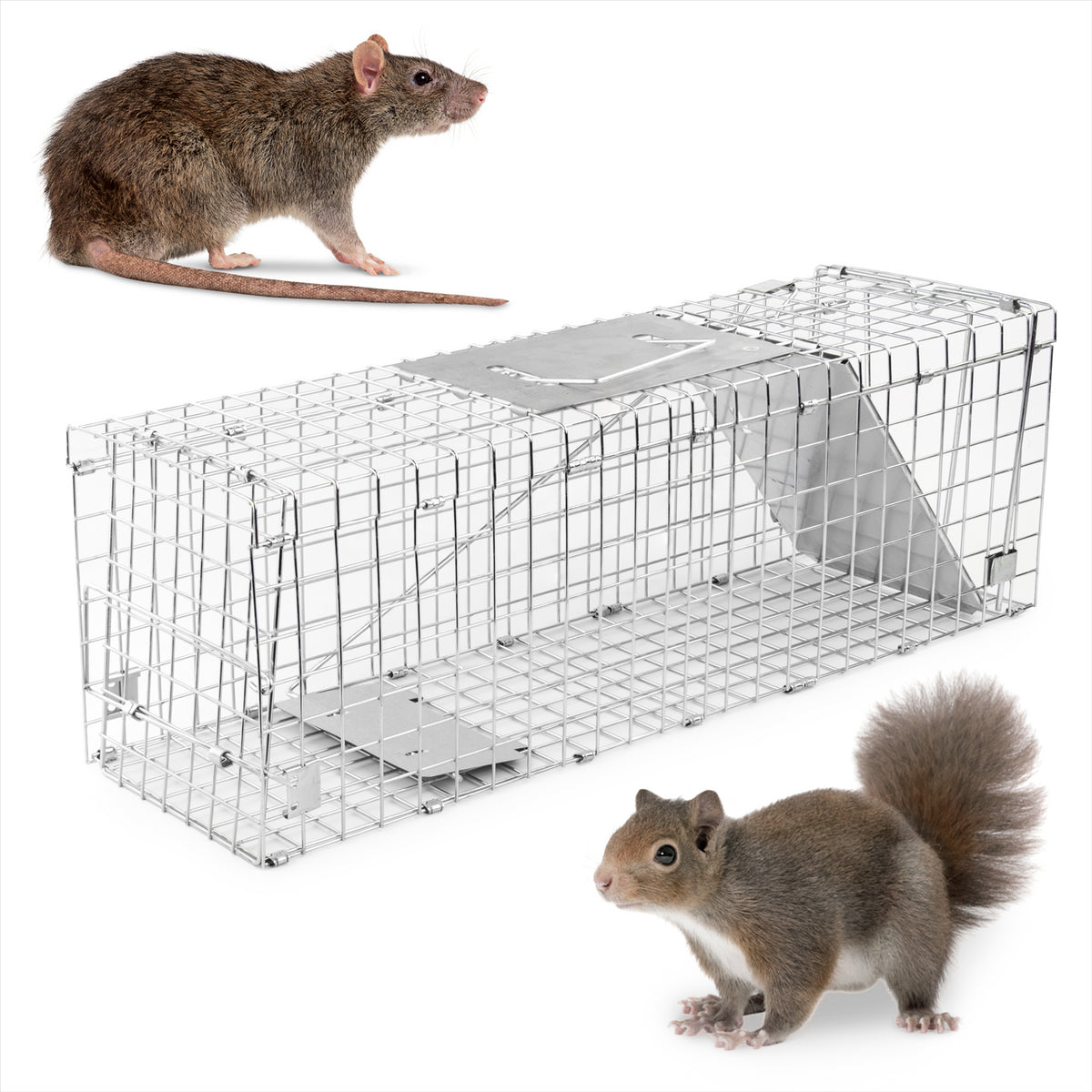 Humane Live Rat Trap – Also For Rabbits, Cats, Squirrels, 1-Door Catch ...