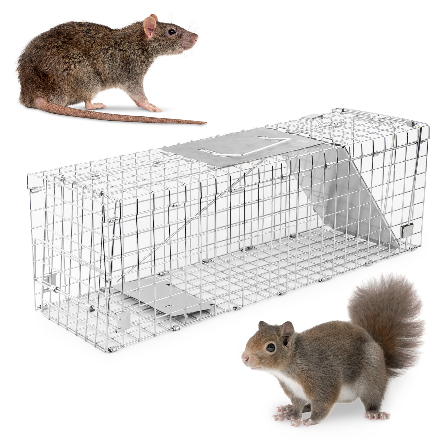KCT Humane Pest Traps | Squirrel, Rat & Rodent Control — KCT Direct
